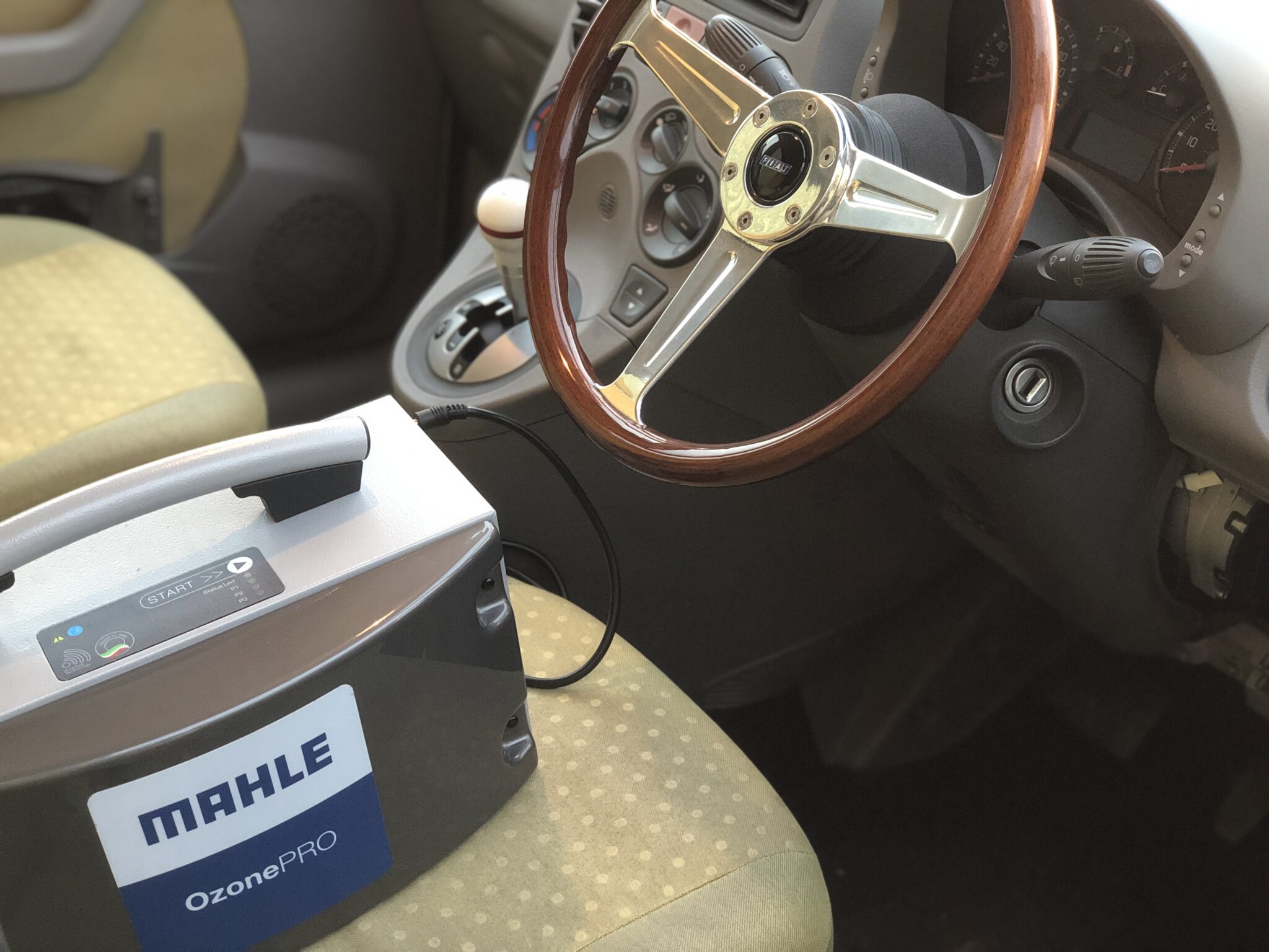 IMG_E3759 | RED POINT/レッドポイント | RED POINT/レッドポイント