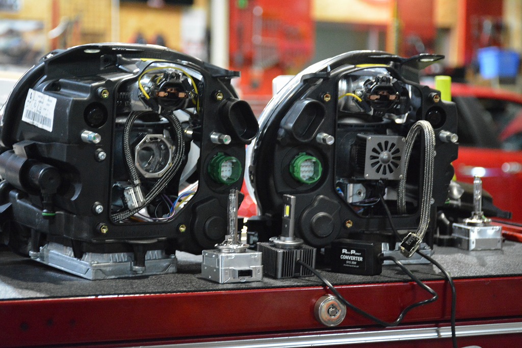 DSC_0177 | RED POINT/レッドポイント | RED POINT/レッドポイント