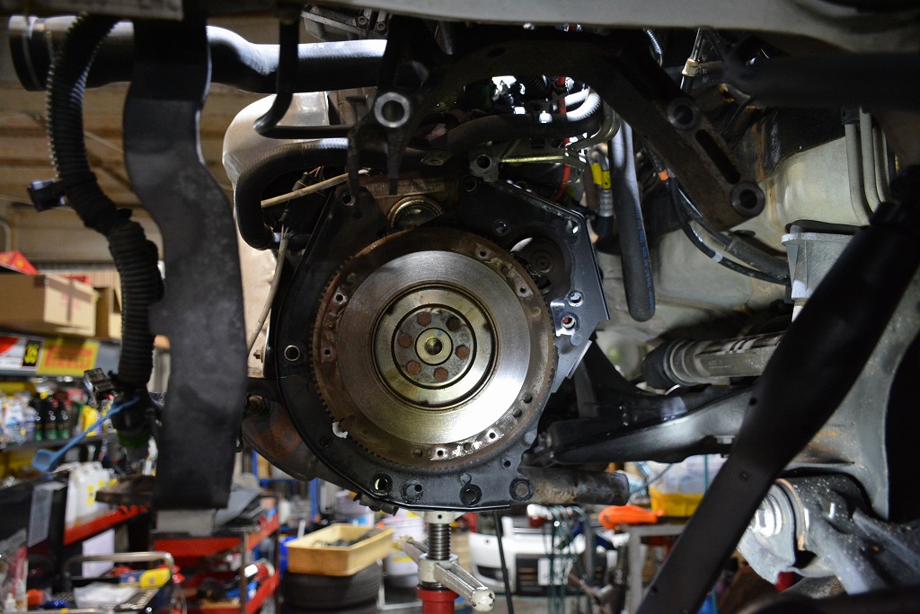 DSC_0867 | RED POINT/レッドポイント | RED POINT/レッドポイント