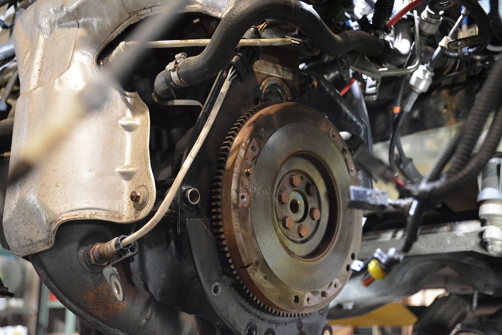 DSC_0868 | RED POINT/レッドポイント | RED POINT/レッドポイント