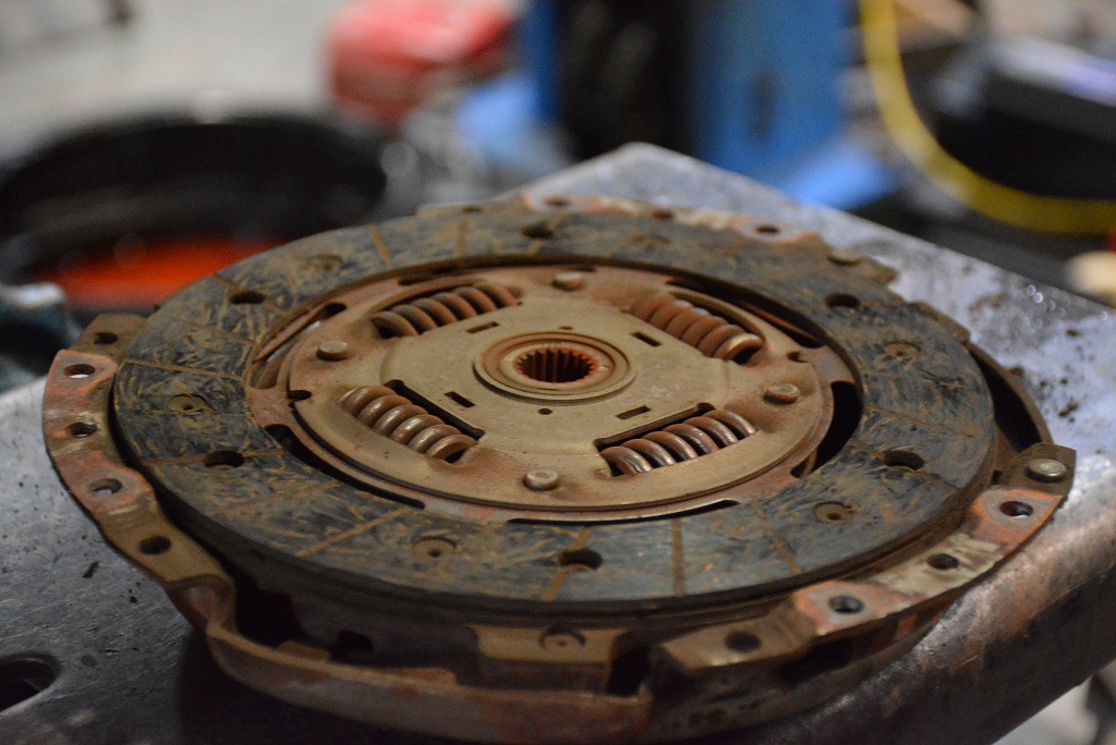 DSC_0872 | RED POINT/レッドポイント | RED POINT/レッドポイント