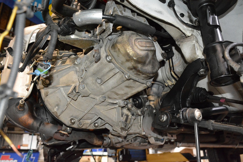 DSC_0892 | RED POINT/レッドポイント | RED POINT/レッドポイント