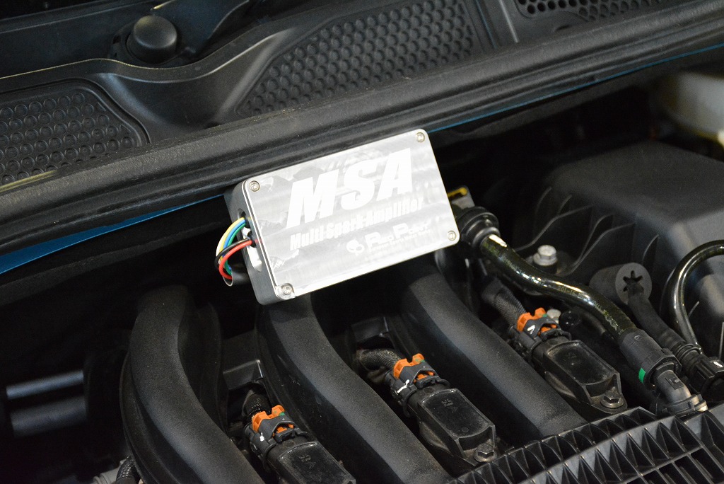 DSC_4183 | RED POINT/レッドポイント | RED POINT/レッドポイント