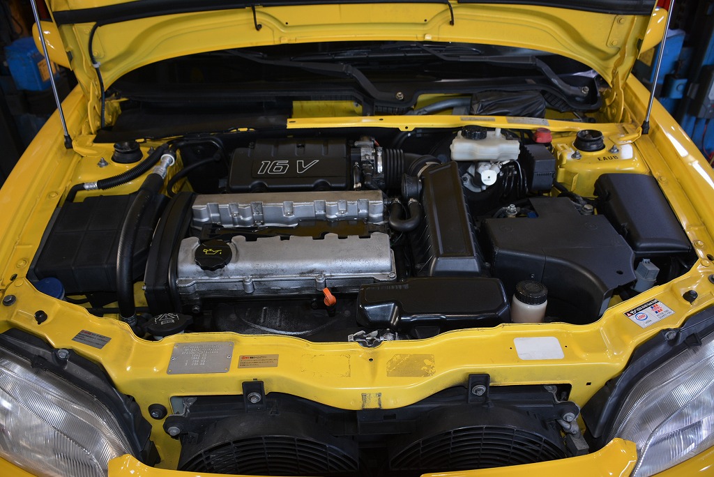 DSC_5088 | RED POINT/レッドポイント | RED POINT/レッドポイント